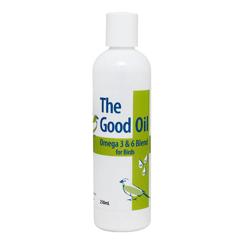 The Good Oil Chipper Parrots