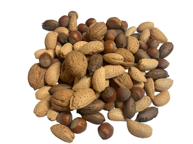 Mixed Nuts In Shell – Chipper Parrots