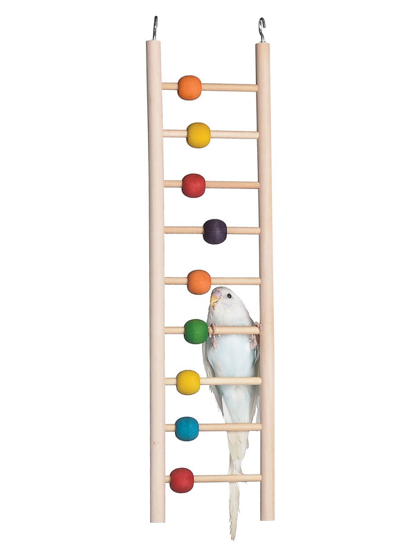 Bird Ladder with Beads – Chipper Parrots